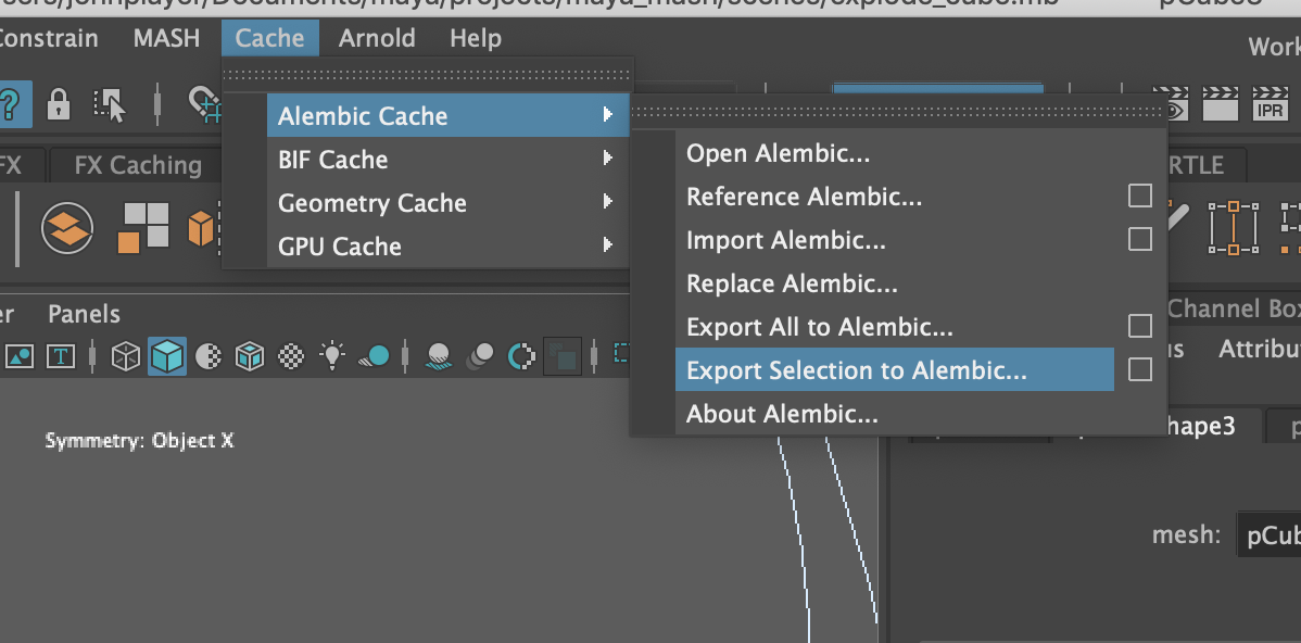 Caching Animations in AutoDesk Maya - John Player